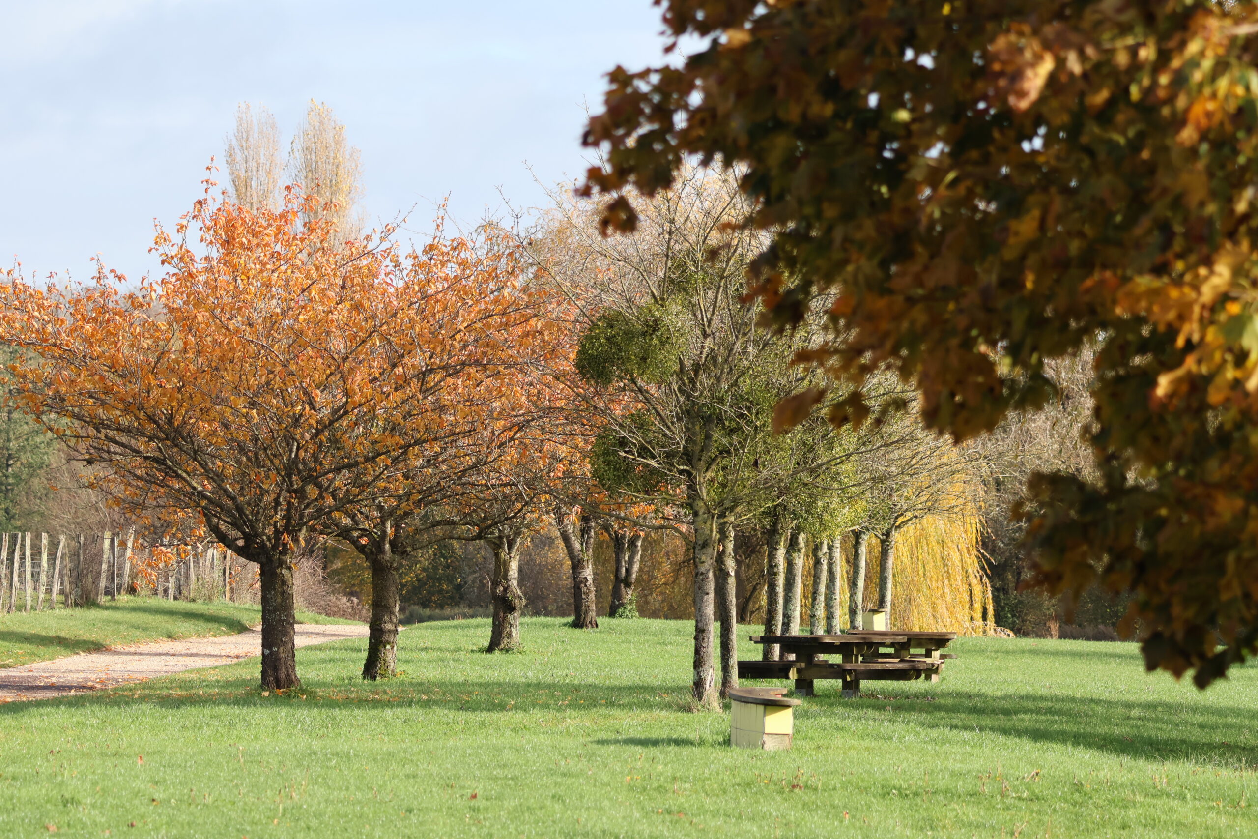 Activit s Sportives Les Jardins De L tang